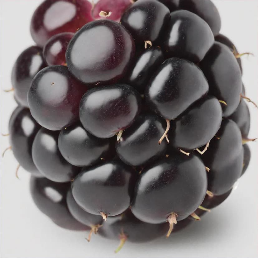 Boysenberry - Complete Nutrition Guide, Antioxidant Benefits & Recipes